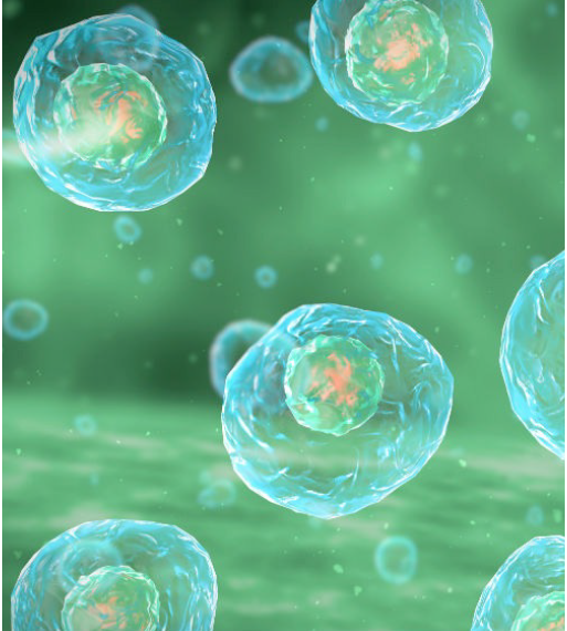 Single cell RNASeq analysis