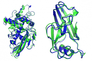 Critical Assessment of protein Structure Prediction (CASP) - E-Learning@VIB