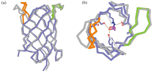 Introduction to Protein Design Introduction to Protein Design